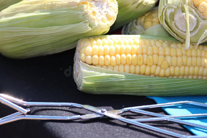 Mielies Stock Photos - Free & Royalty-Free Stock Photos from Dreamstime