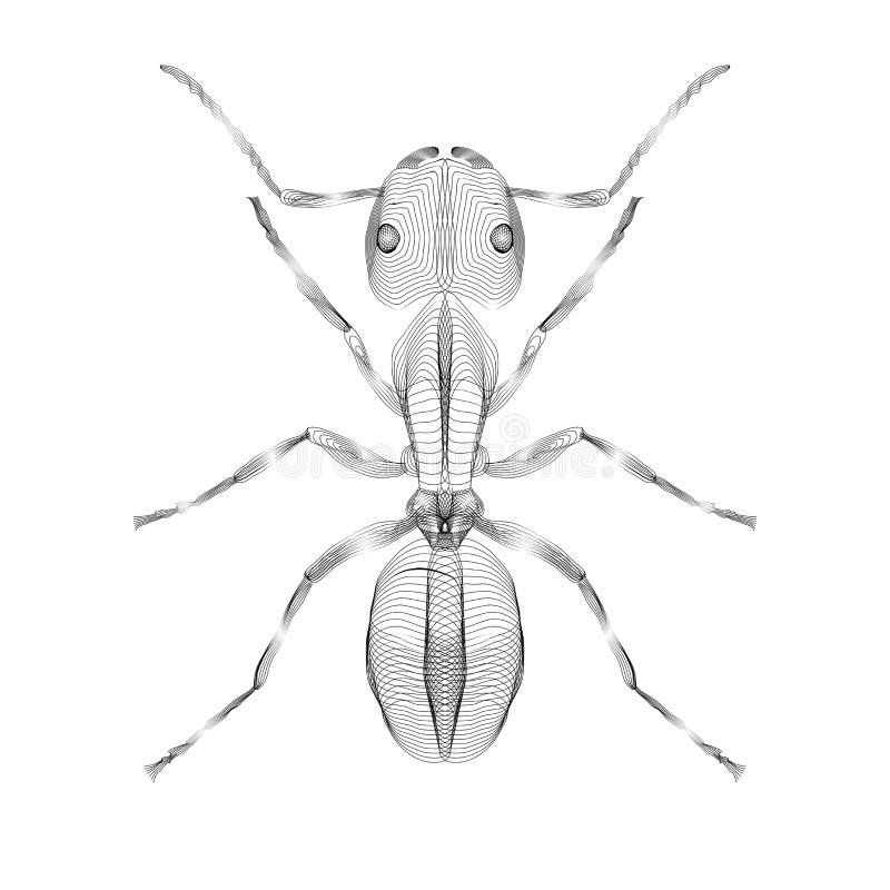 Mier 3d Stijl Vectorillustratie Voor Druktatto Vector Illustratie ...