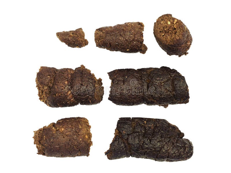 Mierda de perro imagen de archivo. Imagen de perro, olor - 72947661