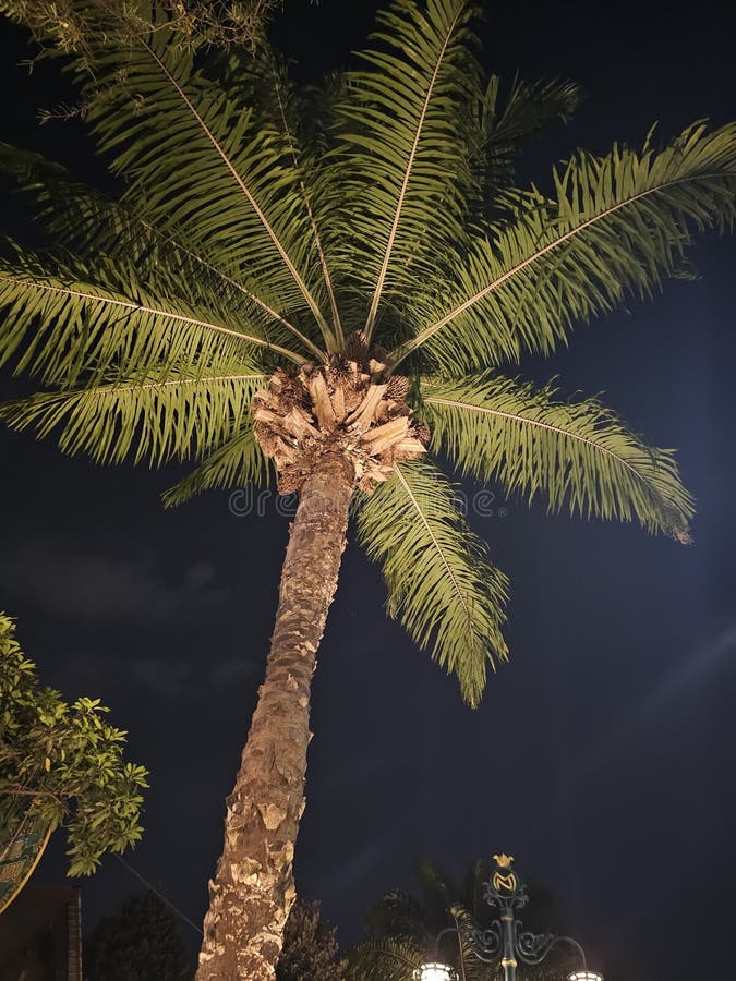 The Mighty Figure of Neptune (Poseidon, Triton) Stock Photo - Image of ...