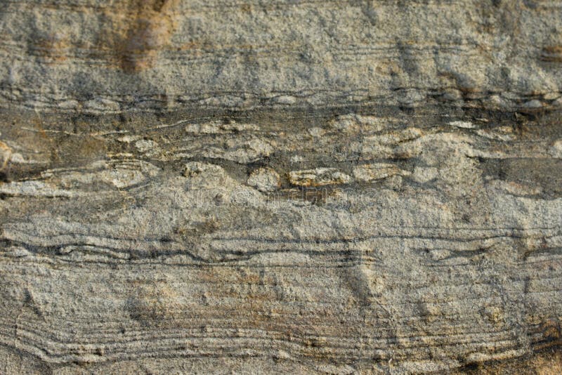Migmatite Texture photo stock. Image du filigrane, surface - 88224776