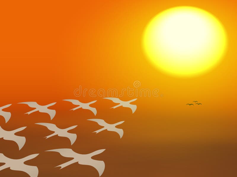 Sun Sunny Day Birds Cartoon Stock Illustrations – 342 Sun Sunny Day ...