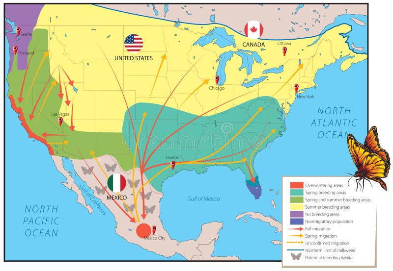Cartoon Monarch Butterfly Map Home Interactive Monarch Migration Map