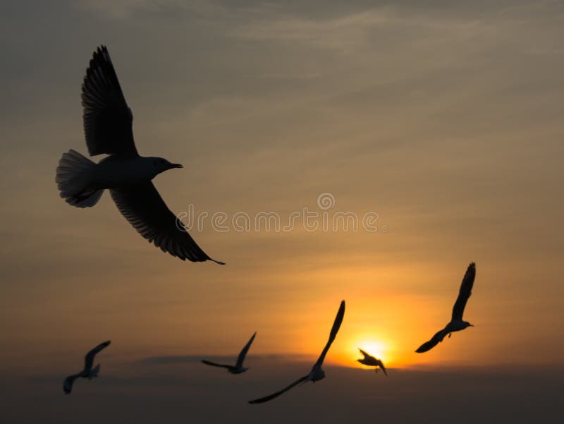 Vacations illustration. stock illustration. Illustration of cube - 41300540