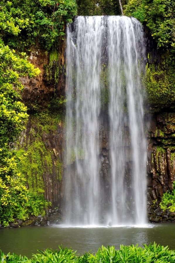Millaa Millaa Falls stock image. Image of tourist, cairns - 35598335