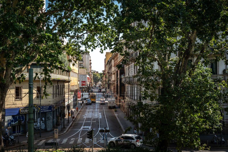 View of Street with Tramway Seen from Elevated Path between Trees ...