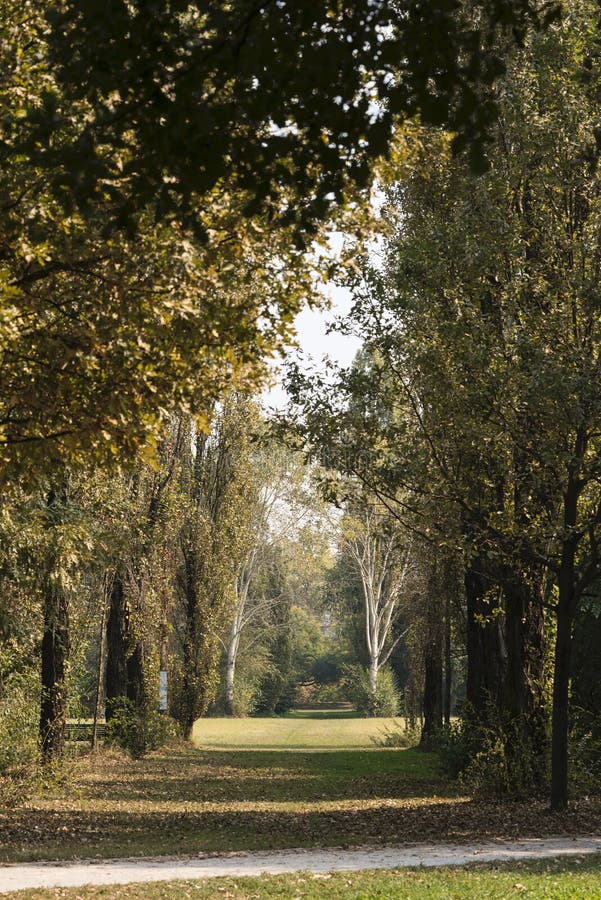 Milan Italy: Parco Nord at Fall Stock Image - Image of tree, road: 85342011