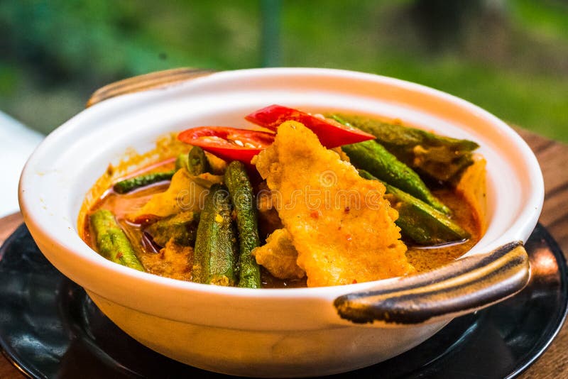 Mild Fish Curry with Chilli, Lady`s Fingers, Okra, Long Beans, Snap ...