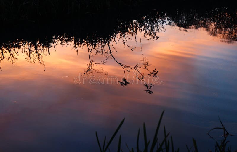 Mild Sunset stock photo. Image of site, tree, river - 248725414