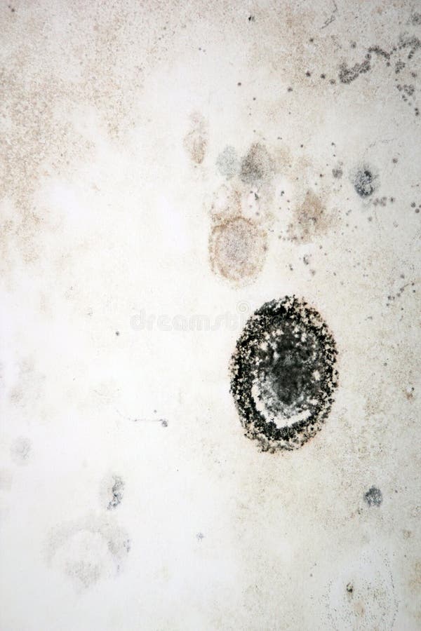 Mildew on wall stock image. Image of grungy, damage, abstract - 29726433