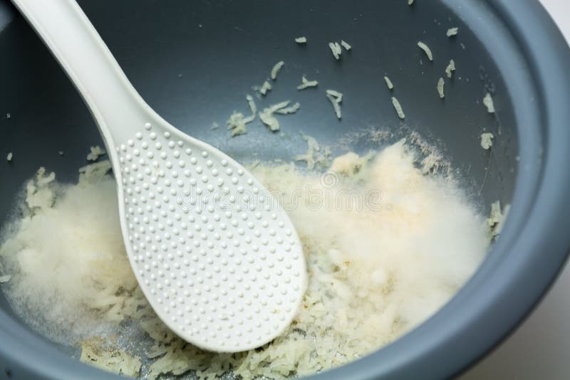 Mildew stock image. Image of biology, cooking, growing - 32716187