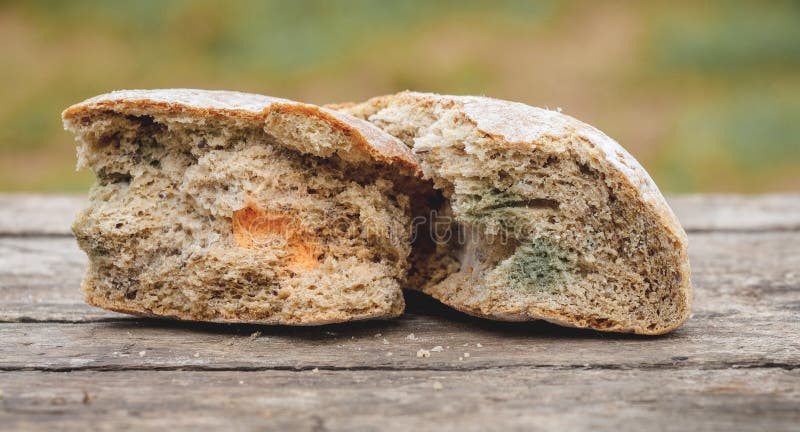 Mildew on a Slice of Bread, Lying on a Wooden Surface. Stale Bread ...