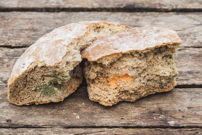 Mildew on a Slice of Bread, Lying on a Wooden Surface. Stale Bread ...