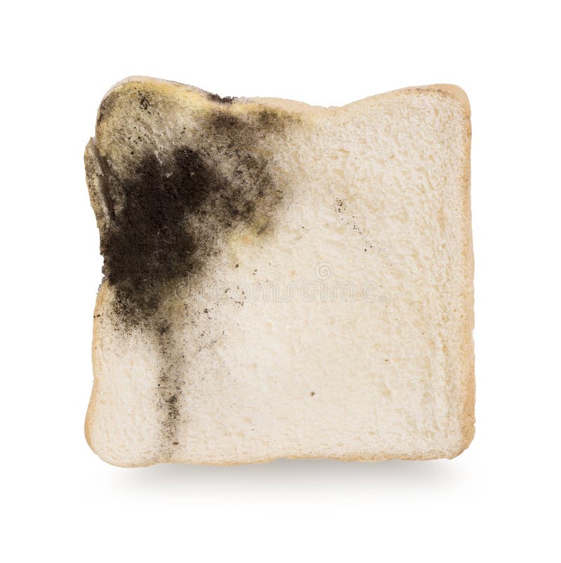 Mildew On A Slice Of Bread. Stale Bread, Top View Stock Photo - Image ...
