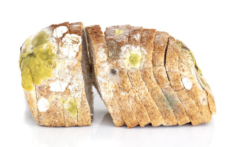 Mildew on a Sliced Loaf of Bread. Old Loaf of Bread, Covered with ...