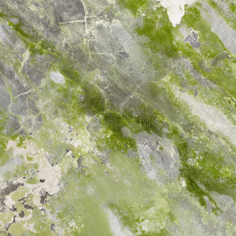 Mildewed Concrete Wall with Green Stains Stock Image - Image of cracks ...