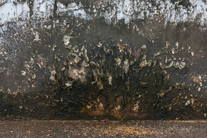 Mildewed walls stock image. Image of climate, smoke, cloud - 71438995