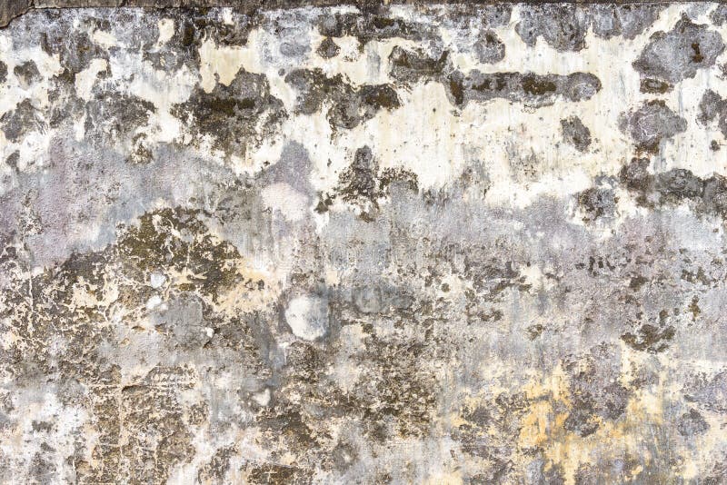 Mildewed walls stock photo. Image of gray, copy, cracked - 86170046
