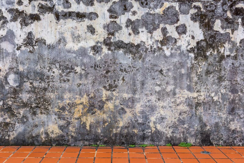 Mildewed walls stock photo. Image of construction, paint - 87764462