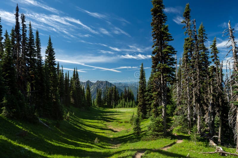 Mildred Point Trail Snakes through Meadow on Blue Sky Day Stock Image ...