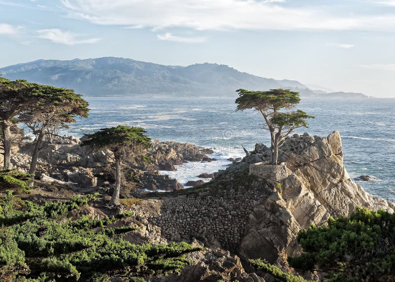 17 mile drive monterey stock photo. Image of drive, tree - 156472684