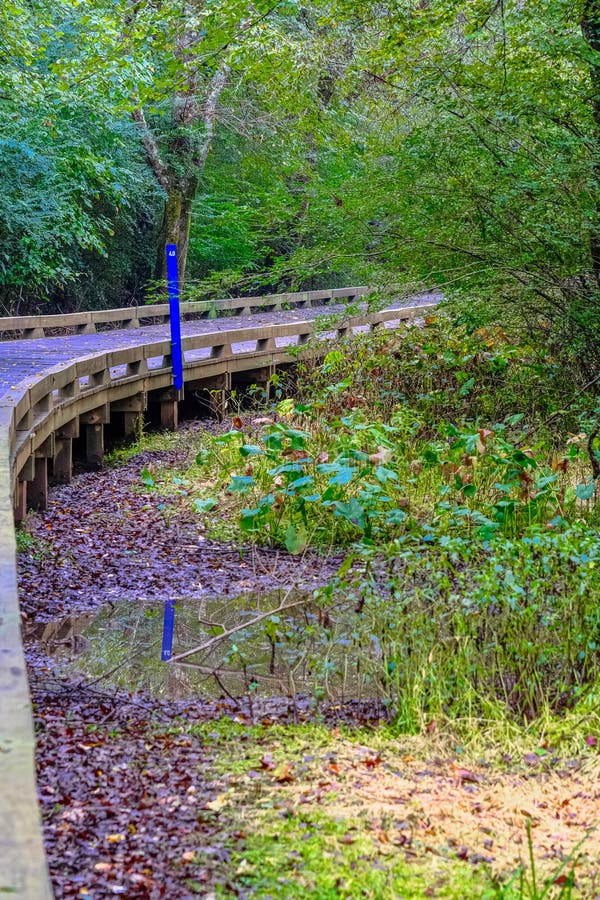 Mile Marker with Runner Walker and Cyclist in Background Stock Photo ...
