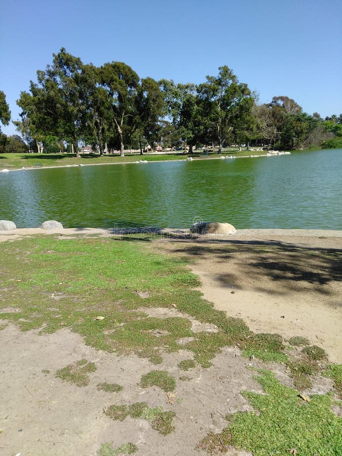 Mile Square Park stock image. Image of square, nature - 95412531