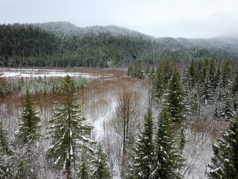 Spring Creek in Alaska stock image. Image of covered - 139783321