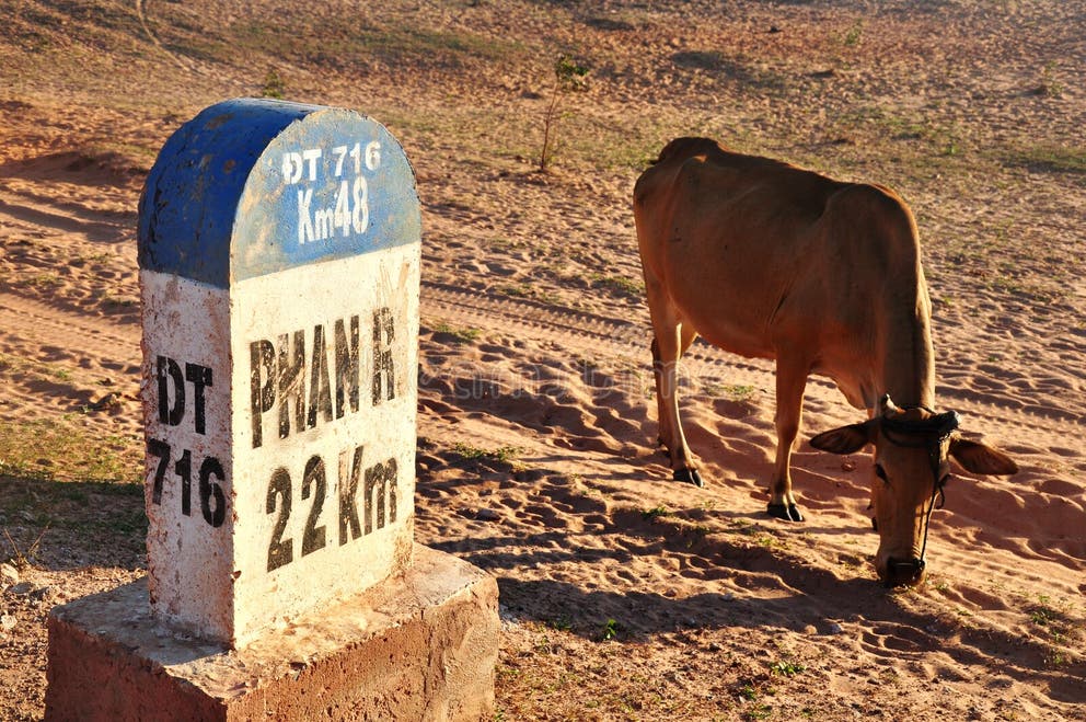 Milestone stock image. Image of scenery, calf, interesting - 17316199