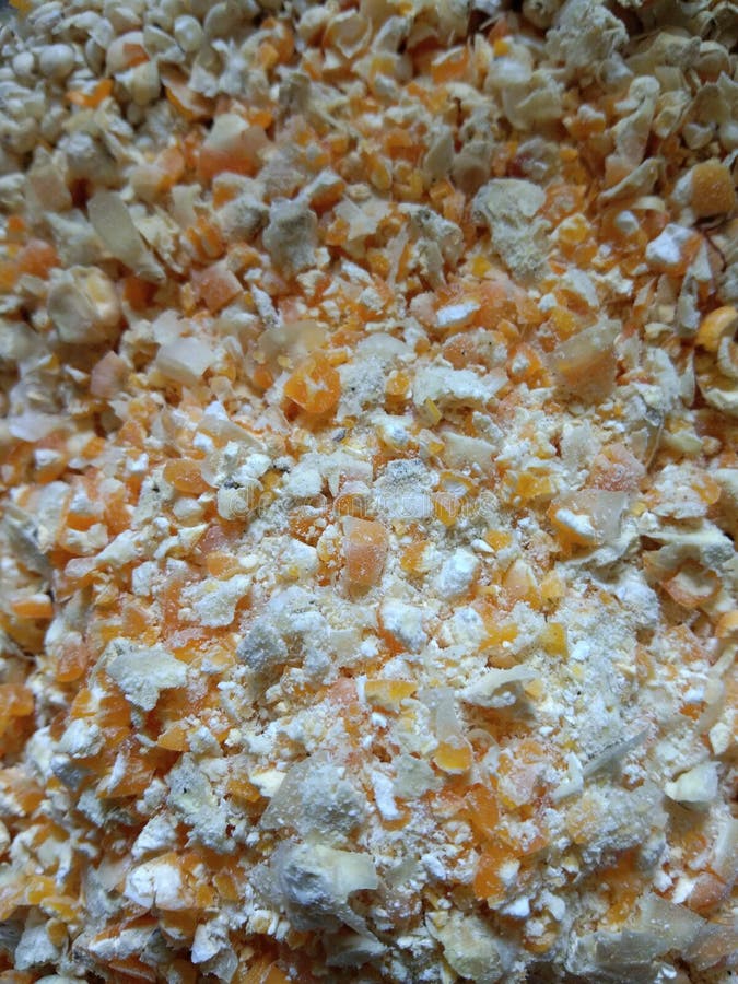 Milet stock image. Image of meshed, milet, corn, food - 122814881