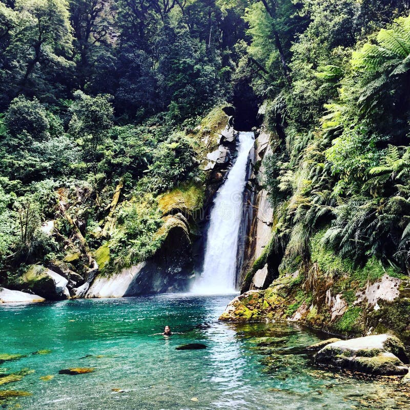 Milford track waterfall stock photo. Image of tramp, beautiful - 72090308