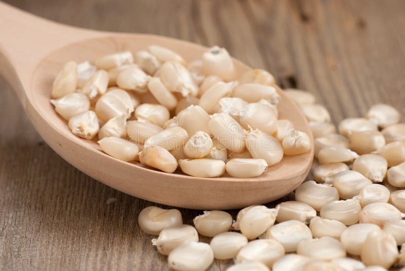 Milho branco foto de stock. Imagem de madeira, vegetal - 43222100