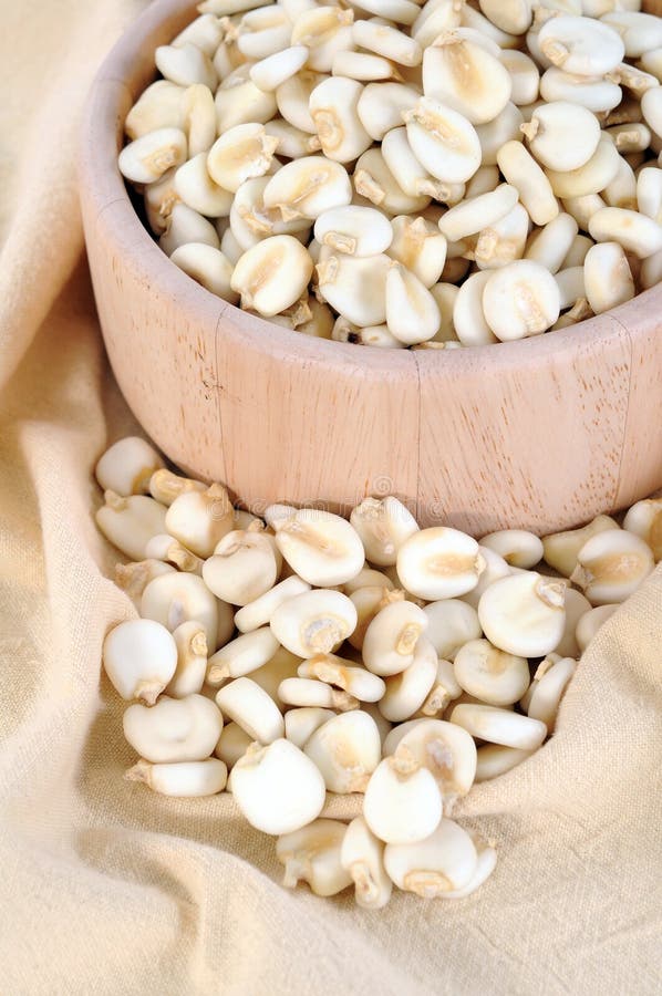 Milho branco gigante imagem de stock. Imagem de milho - 40268911