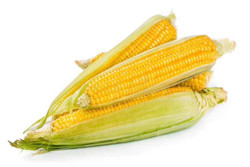 Milho doce fresco imagem de stock. Imagem de ingrediente - 32720667