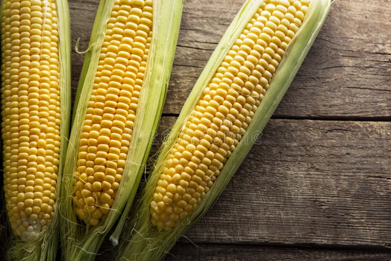 Milho Fresco Em Espigas Em Velhas Mesas De Madeira Imagem de Stock ...