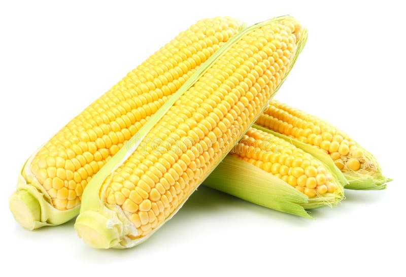 Milho Fresco Na Espiga Isolada No Branco Imagem de Stock - Imagem de ...
