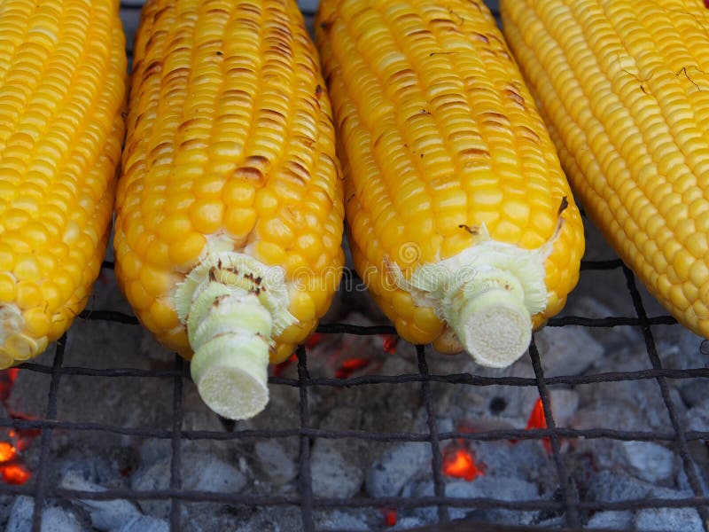 Milho no fogão quente foto de stock. Imagem de dieta - 39355924