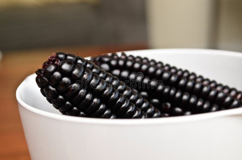 Milho preto imagem de stock. Imagem de preto, milho - 24096183