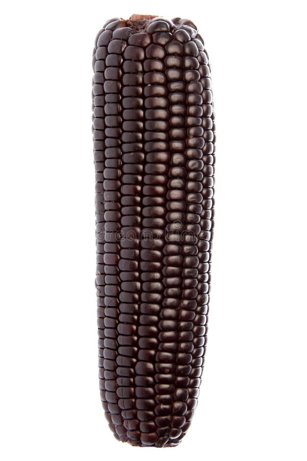 Milho preto imagem de stock. Imagem de torne, fervido - 24096183