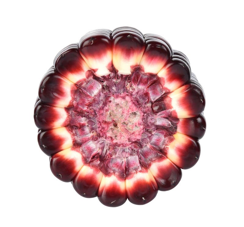 Milho Preto No Fundo Branco Foto de Stock - Imagem de dourado, maduro ...