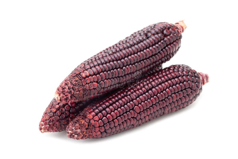 Milho roxo. foto de stock. Imagem de seletivo, ingrediente - 33132388