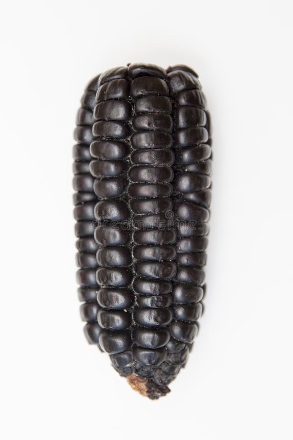 Milho Roxo Isolado No Fundo Branco Foto de Stock - Imagem de gostoso ...