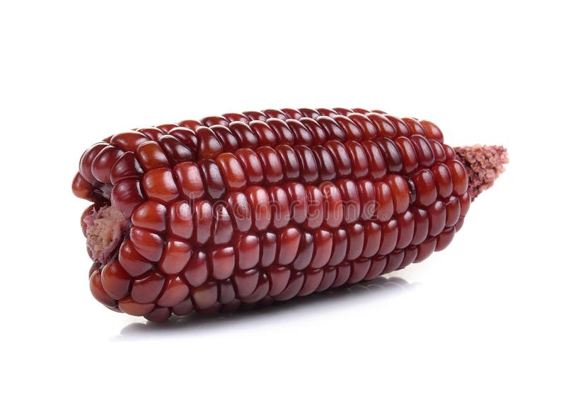 Milho roxo no fundo branco foto de stock. Imagem de agricultura - 51190650
