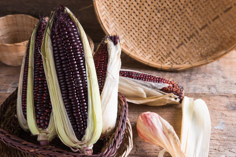 Milho Roxo No Fundo De Madeira Foto de Stock - Imagem de alimento, azul ...