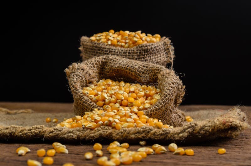Milho Secado No Sackbag Na Tabela De Madeira Imagem de Stock - Imagem ...