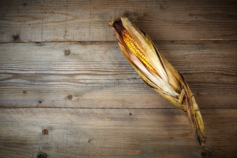 Milho seco imagem de stock. Imagem de sabugo, milho, seco - 35348913