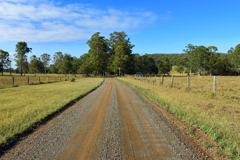 Chemin De Terre Rural Entre Les Champs Verts Image stock - Image du ...