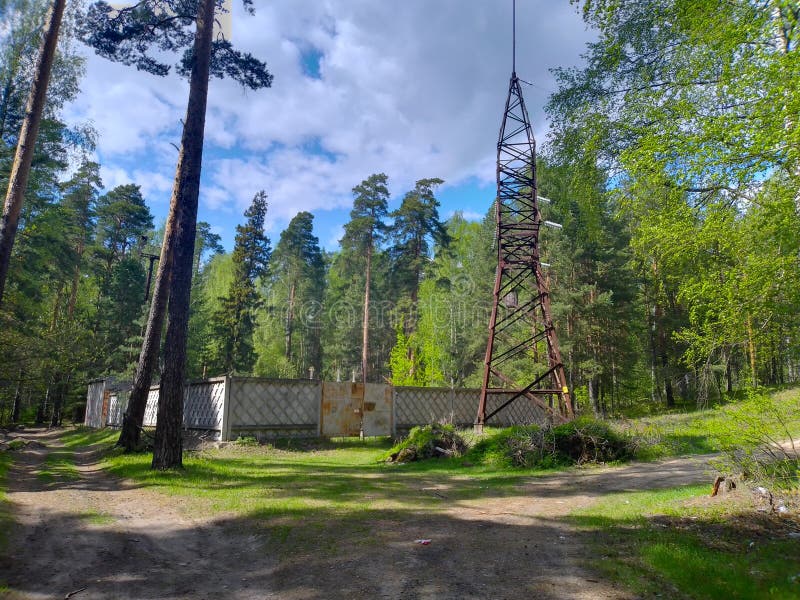Military Base in the Forest Stock Image - Image of flower, grass: 194526825