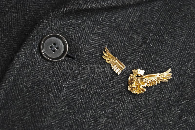 Military broken wings stock photo. Image of loss, lost - 24278222