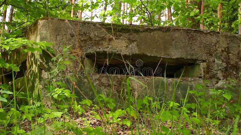 Old military gun in bunker stock footage. Video of missile - 132291684